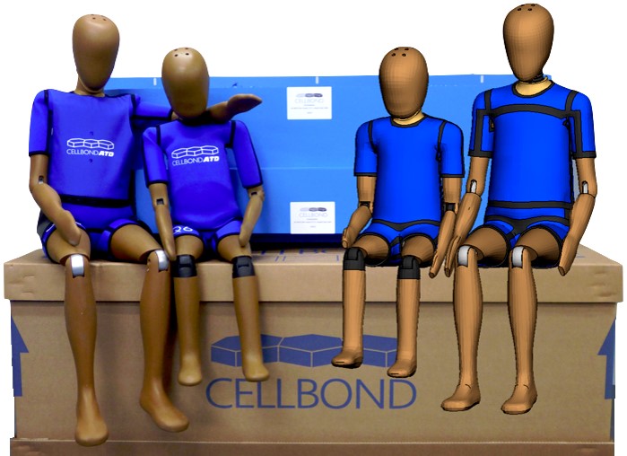 CELLBOND-PHITEC Q-DUMMIES_Shanghai Fangkun Software Technology Ltd.